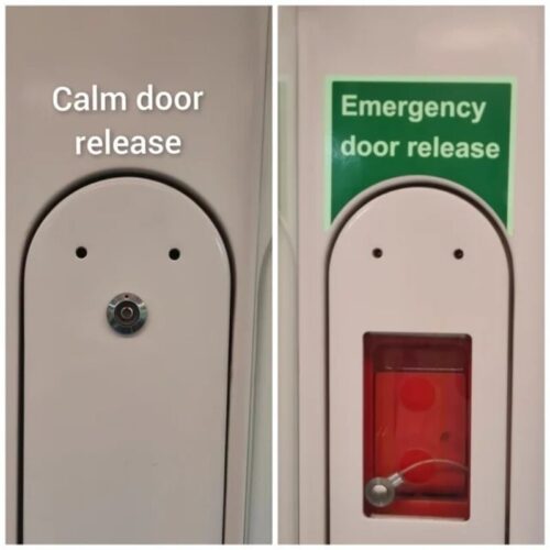 ¿Esto es real? ¿Existe?